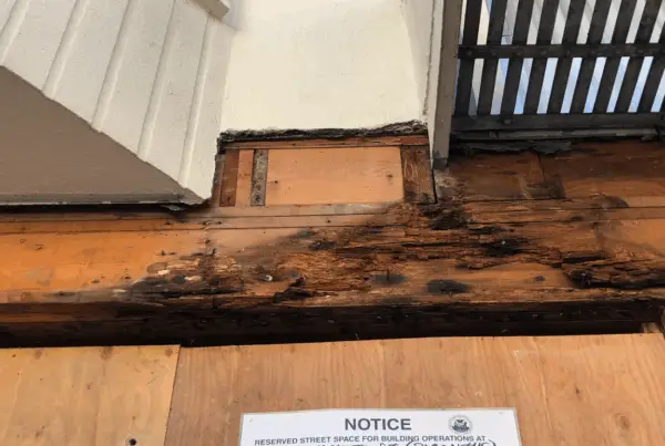 Dry Rot Repair/ Replacement - Avant-Garde